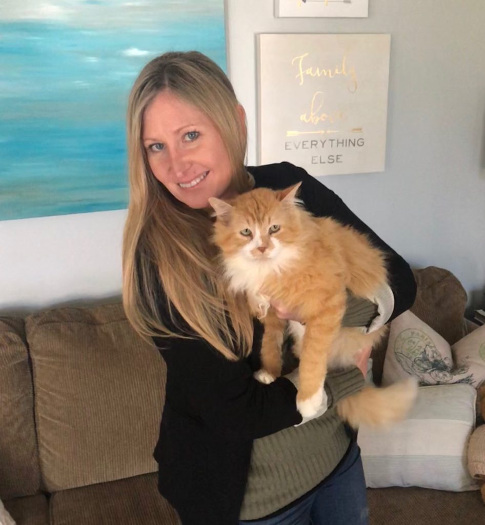 Toby's story (the cat who walked 12 miles) goes viral - SPCA of Wake County