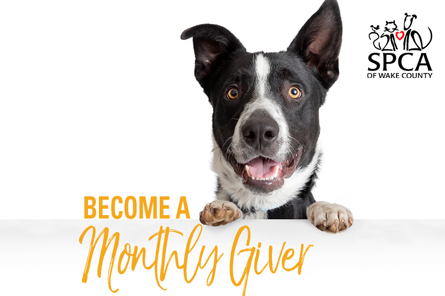 Monthly Giving - SPCA of Wake County