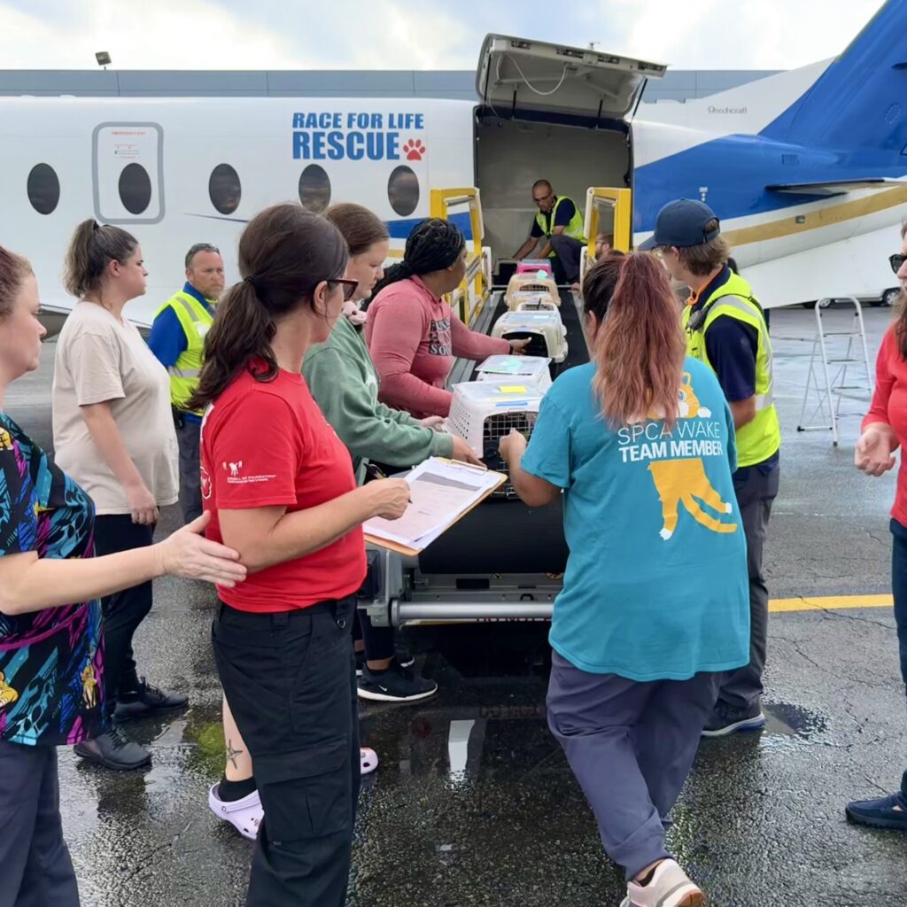 Hurricane Helene Emergency Response - SPCA of Wake County