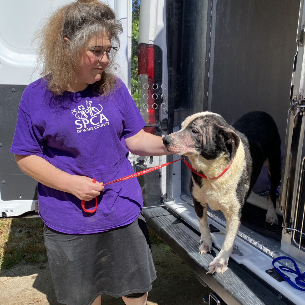 101 Dogs Rescued from Raleigh Puppy Mill - SPCA of Wake County